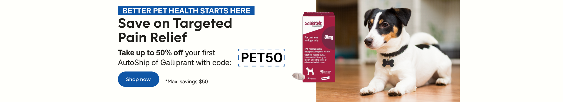 Pet Medications Online: GoodRx for Pets