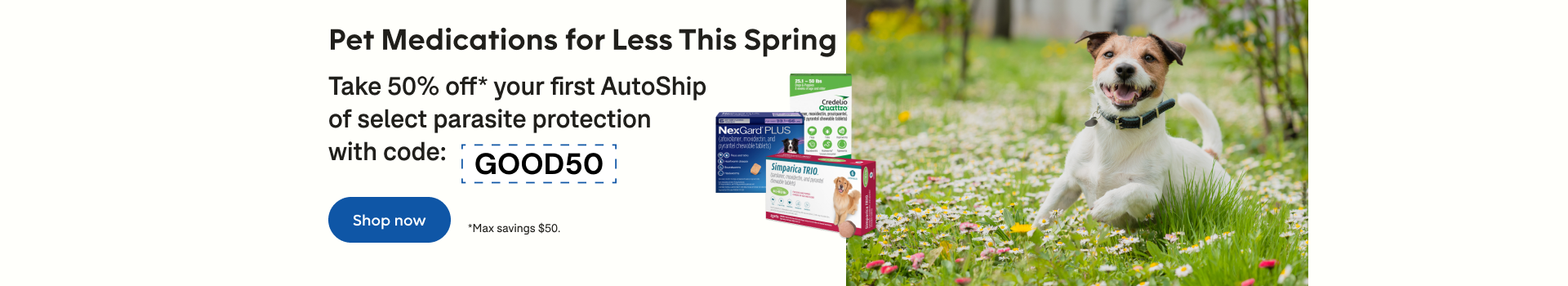 Pet Medications Online: GoodRx for Pets