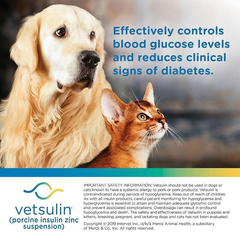 Vetsulin 40 u / ml 10 ml Vial | GoodRxForPets.com
