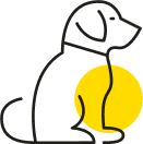 Pet Medications Online: GoodRx for Pets