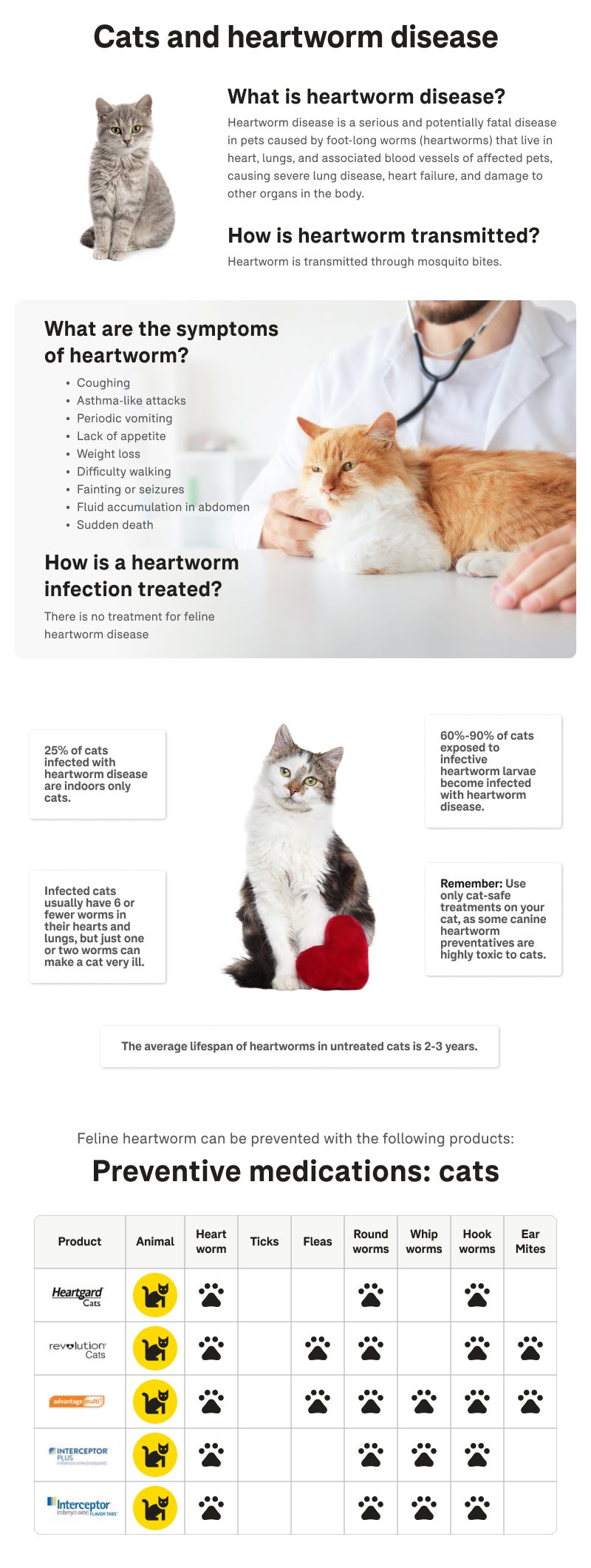 Cat Heartworm Chart